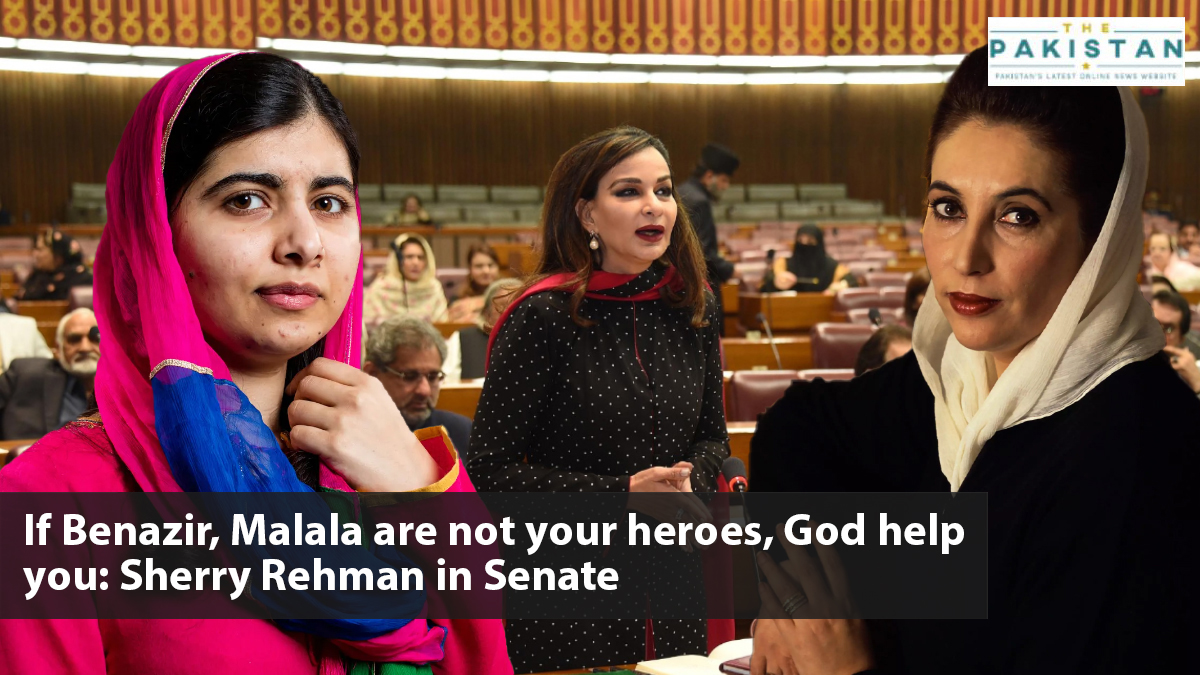 Sherry says Pakistan doesn’t criminalise violence