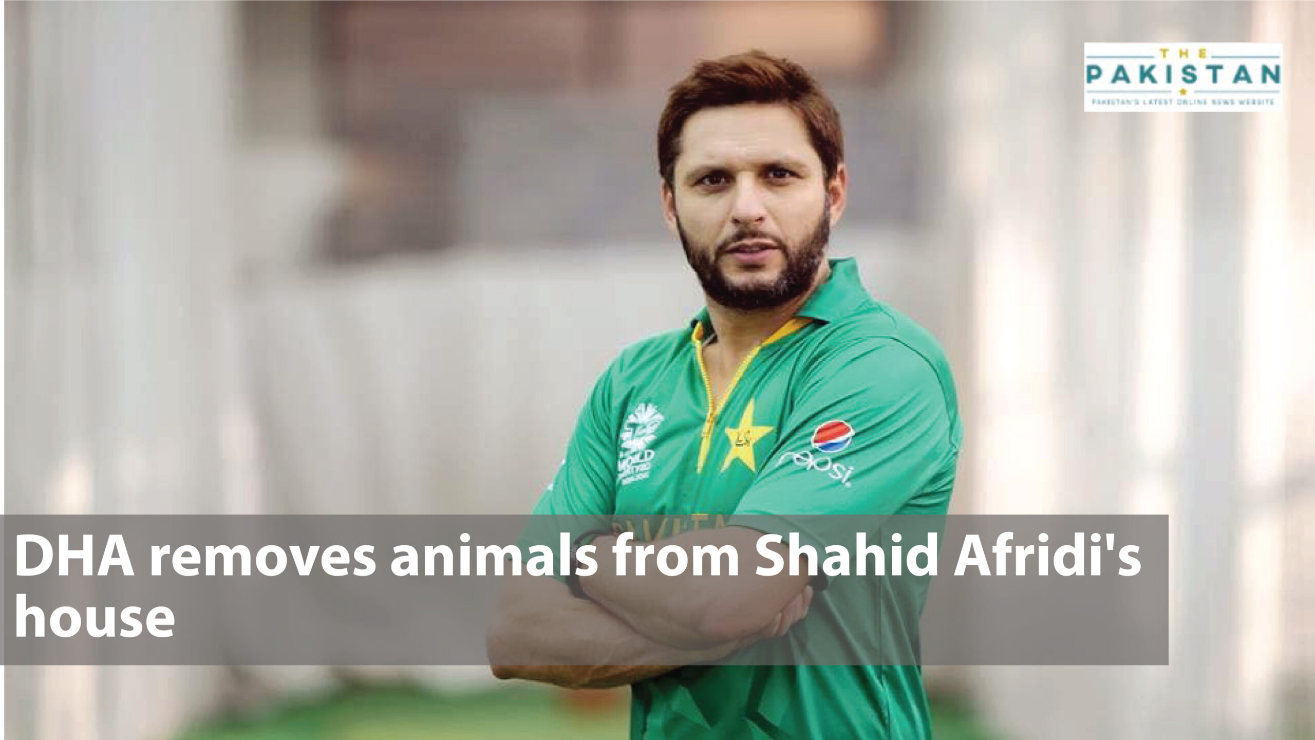 DHA removes animals from Afridi’s Karachi residence