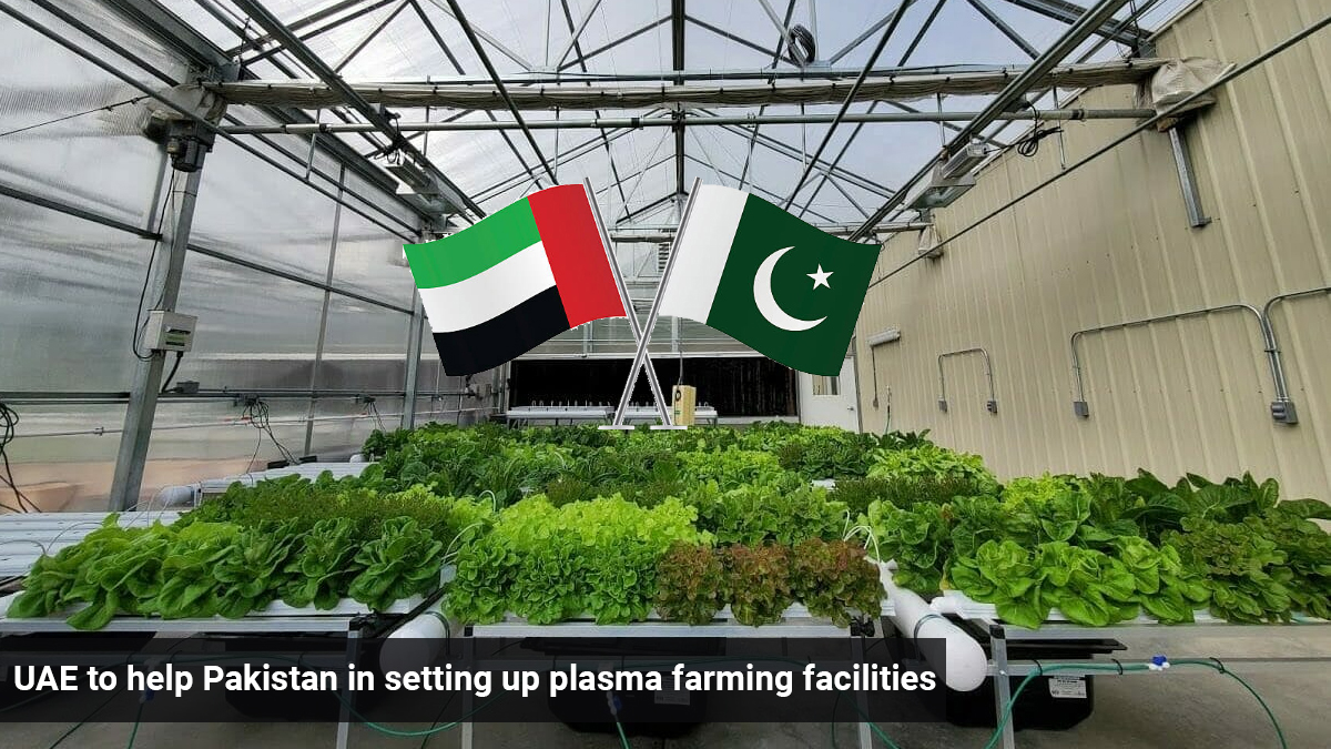 UAE to help Pakistan in setting up plasma farming facilities