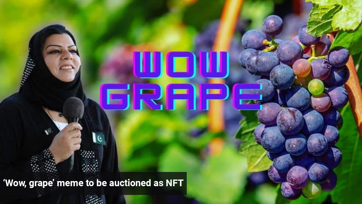 ‘Wow, grape’ meme to be auctioned as NFT