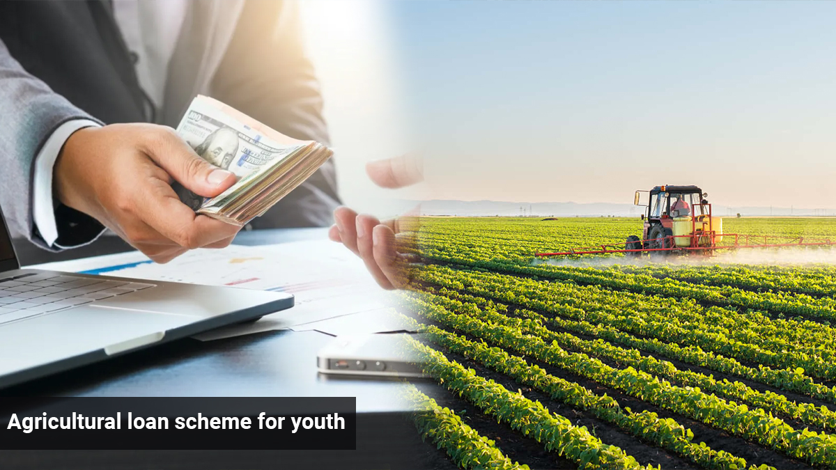 Agricultural loan scheme for youth