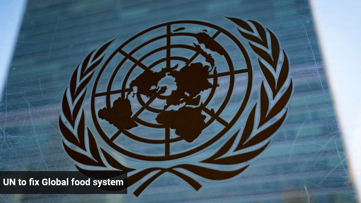 UN to fix Global food system