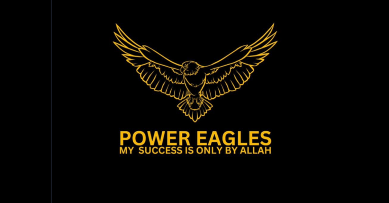 Power Eagles: A Platform for Online Earning and Digital Growth